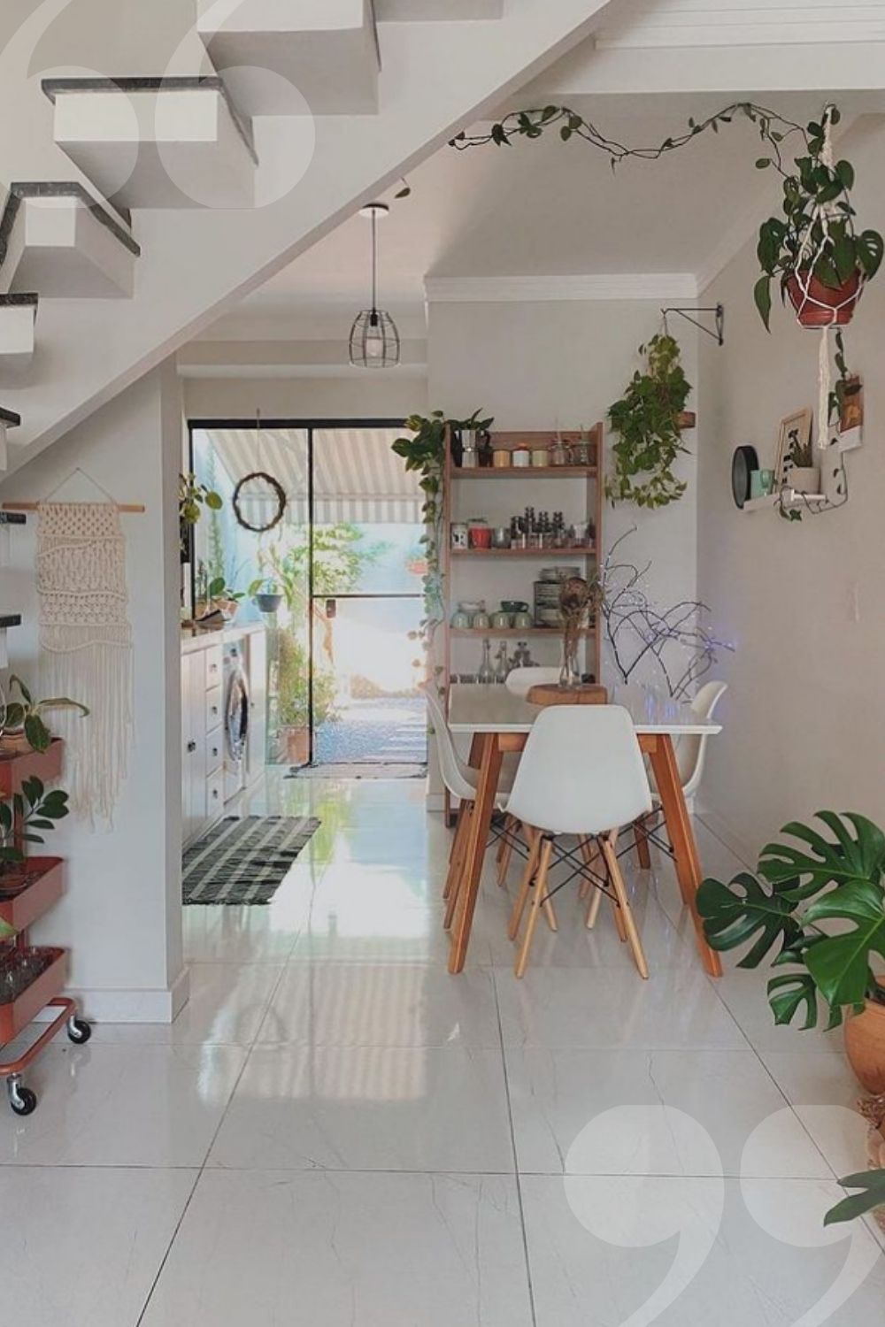 Green Plants Bring Benefits to Home Decoration, Let you Expect?