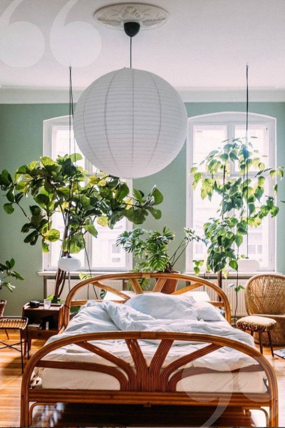 Green Plants Bring Benefits to Home Decoration, Let you Expect?