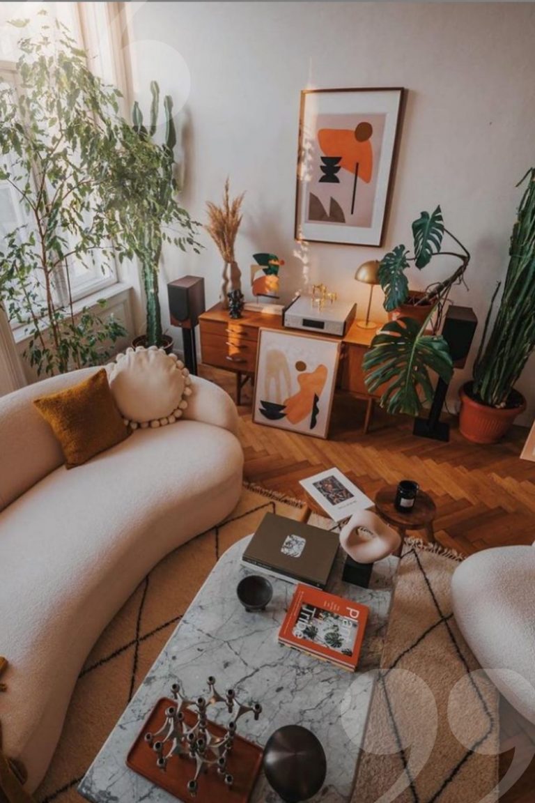 Green Plants Bring Benefits to Home Decoration, Let you Expect?