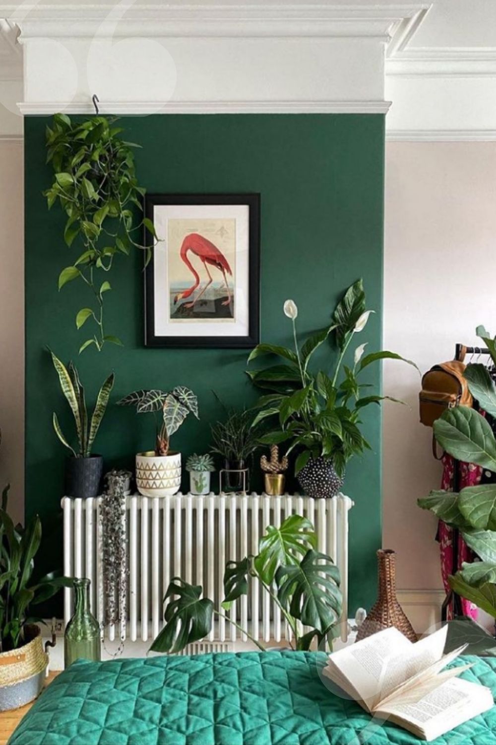 Green Plants Bring Benefits to Home Decoration, Let you Expect?